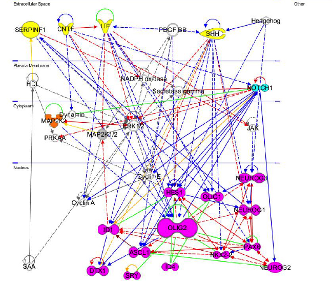 Neurological Oncology Research | Pacific Neuro-Oncology Research Center