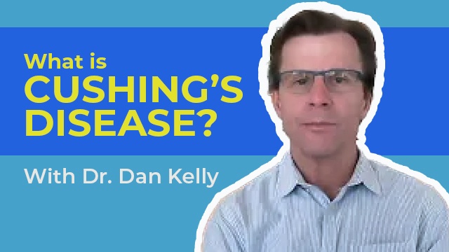 Daniel F. Kelly, MD – Pacific Eye & Ear