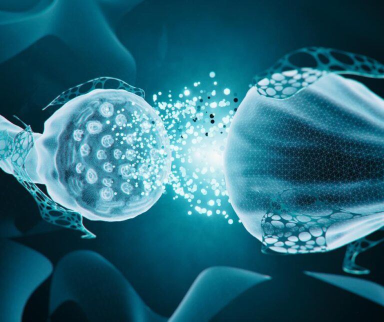 What You Need to Know about Neuroplasticity and Healthy Aging