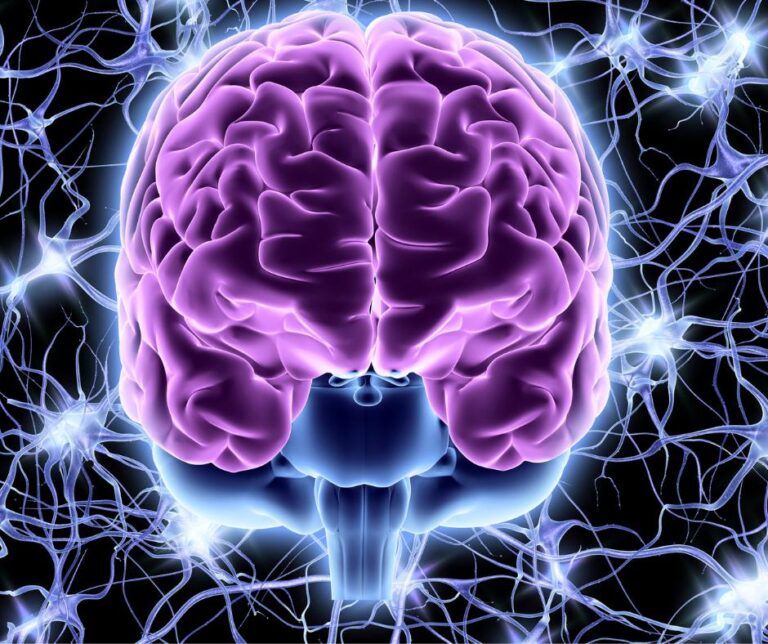 What You Need to Know about Neuroplasticity and Healthy Aging
